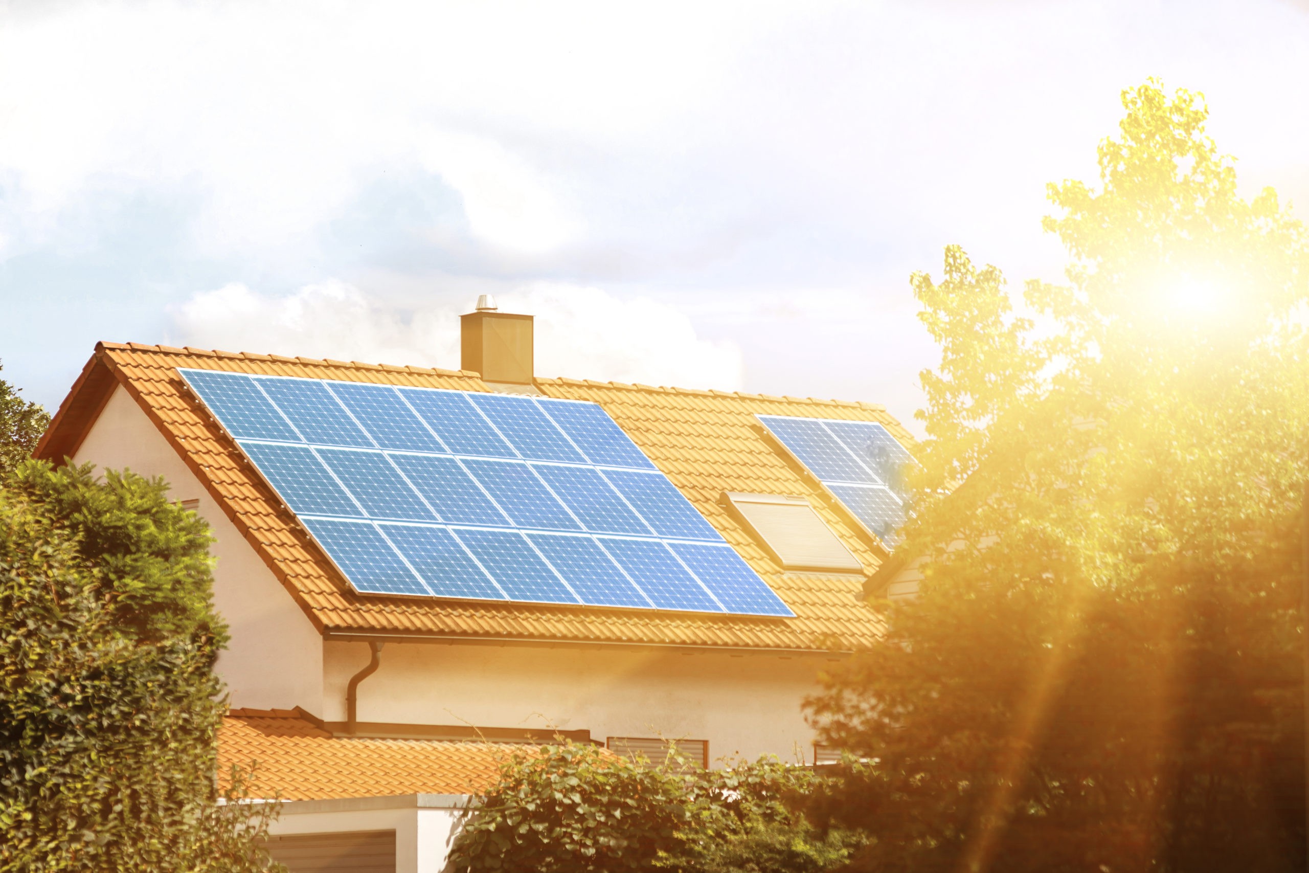 Okapi Solar | Solar Leasing & Financing for Homeowners